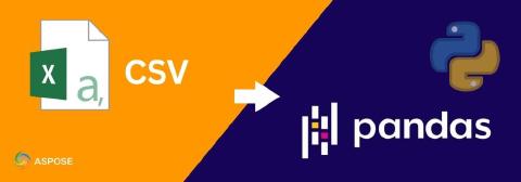 CSV to DataFrame | CSV to Pandas DataFrame in Python