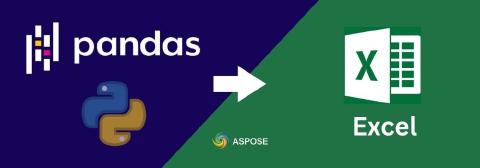 Convert Pandas DataFrame to Excel in Python | Pandas to Excel